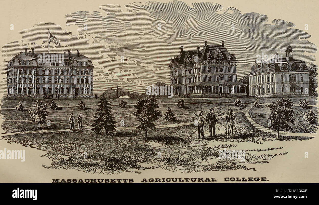 The 1874 Annual Report provides a summary of key government, industrial ...