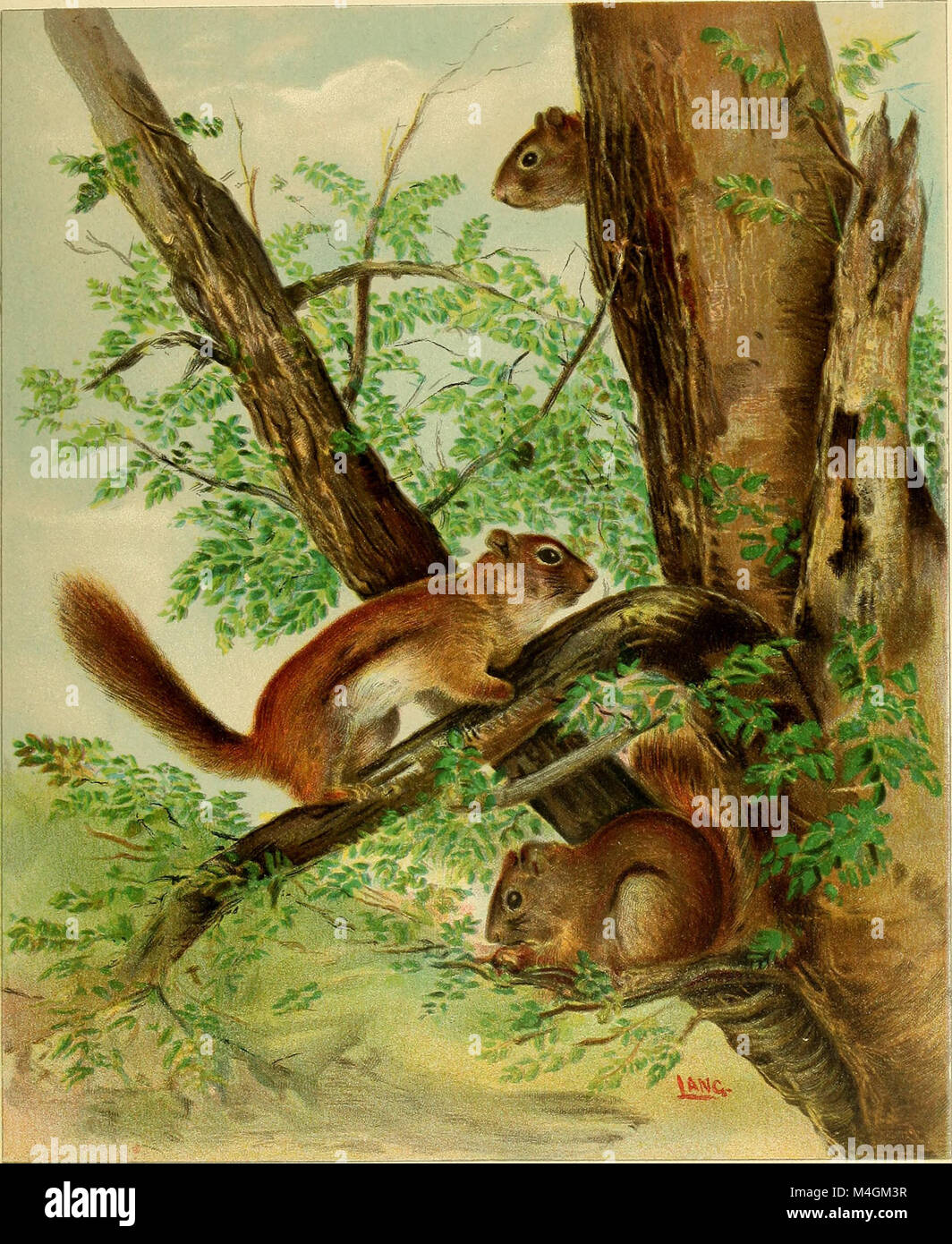 This annual report from 1901 presents key developments, financial ...