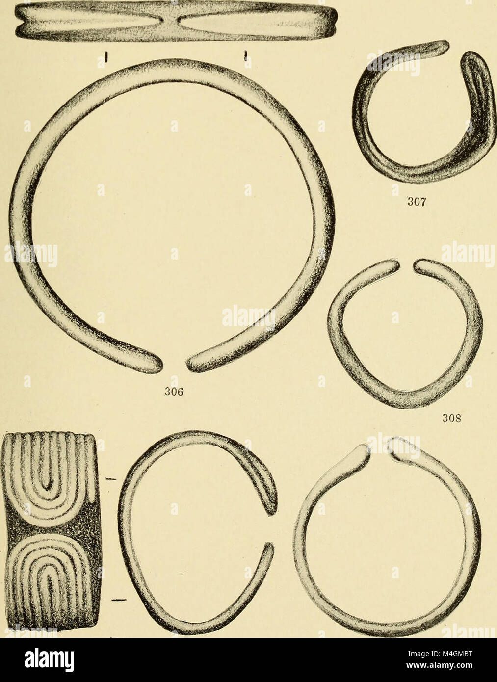 The 'Annual Report' (1903) of the American Museum of Natural History ...