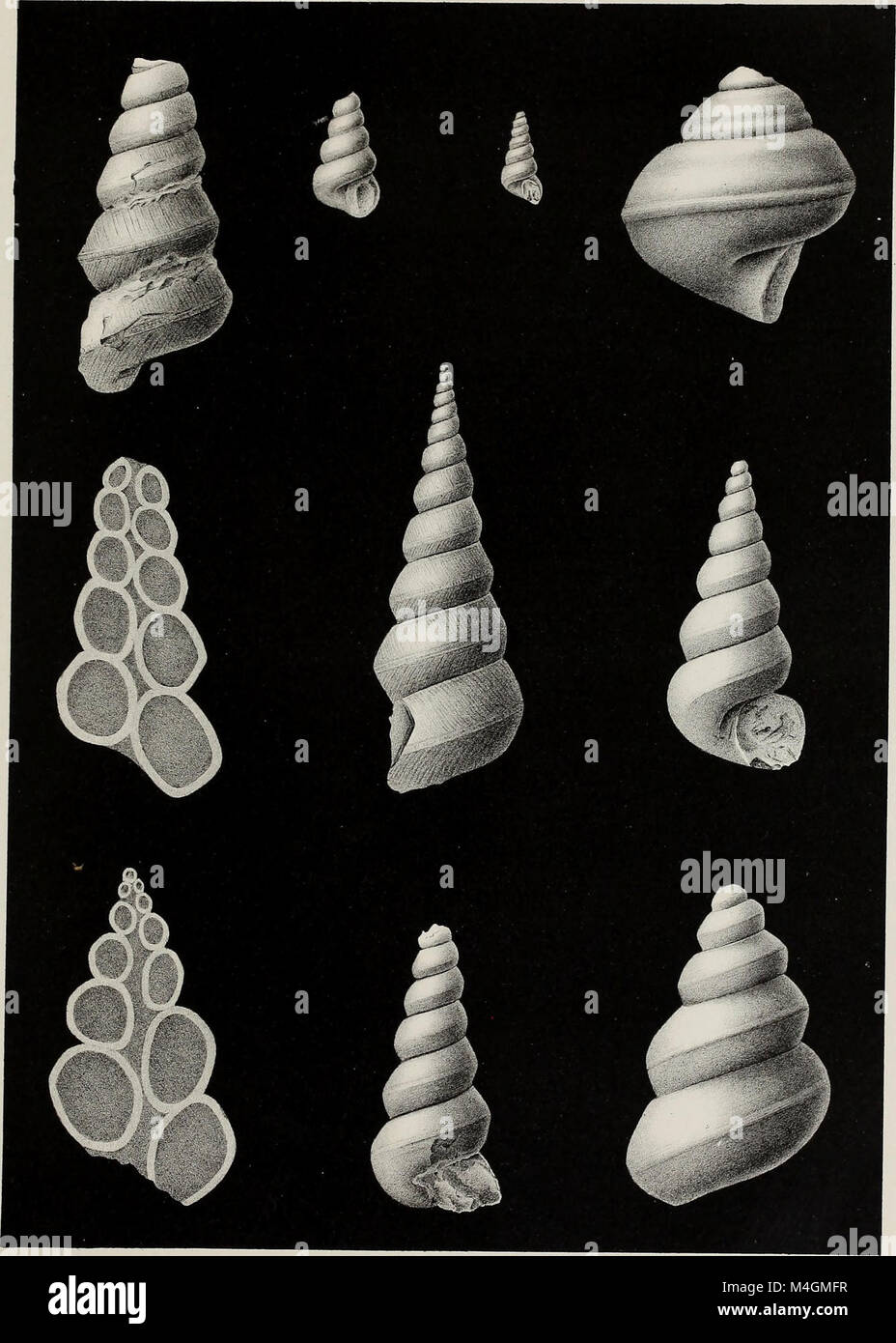 This 1903 annual report presents detailed financial statements ...