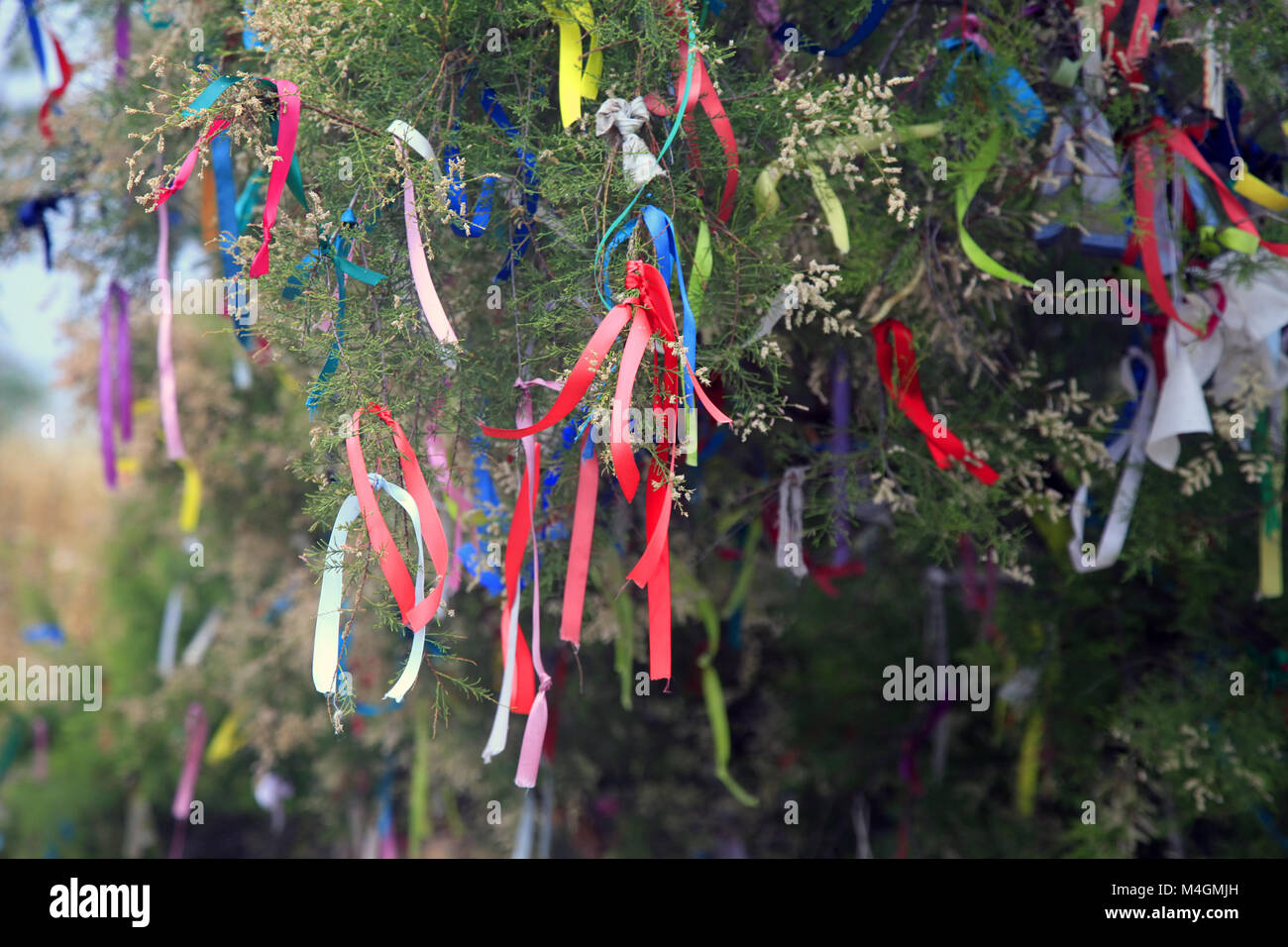 Ribbons on a tree for making wishes Stock Photo - Alamy