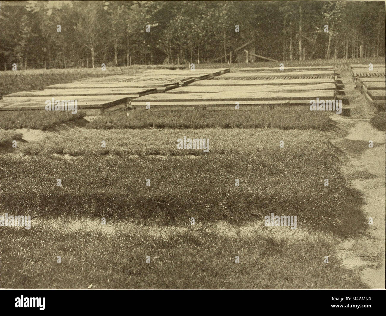 Nonprofit financial operations hi-res stock photography and images - Alamy