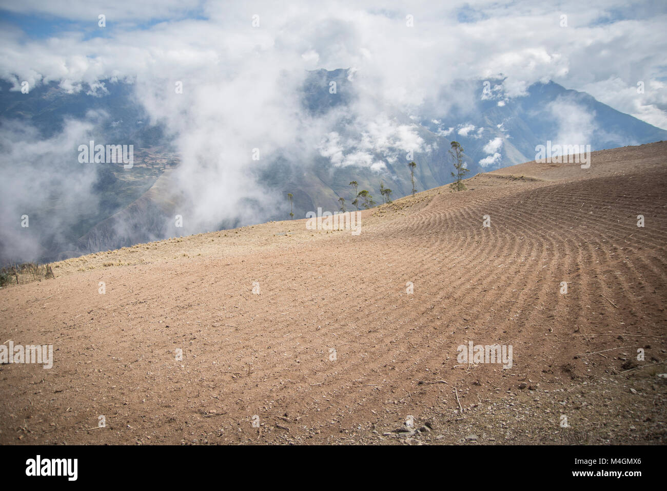 Agriculture in Bolivia Stock Photo - Alamy