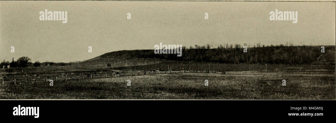 The 1906 annual report offers insights into the operations, progress ...