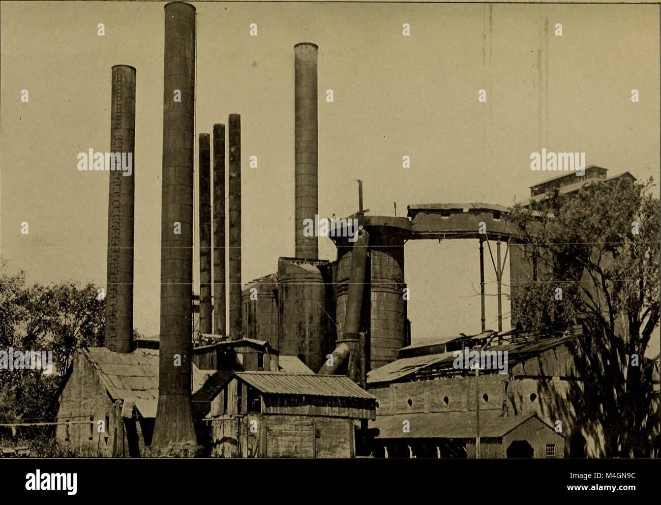 The 'Annual Report' (1907) of the Smithsonian Institution provides a ...