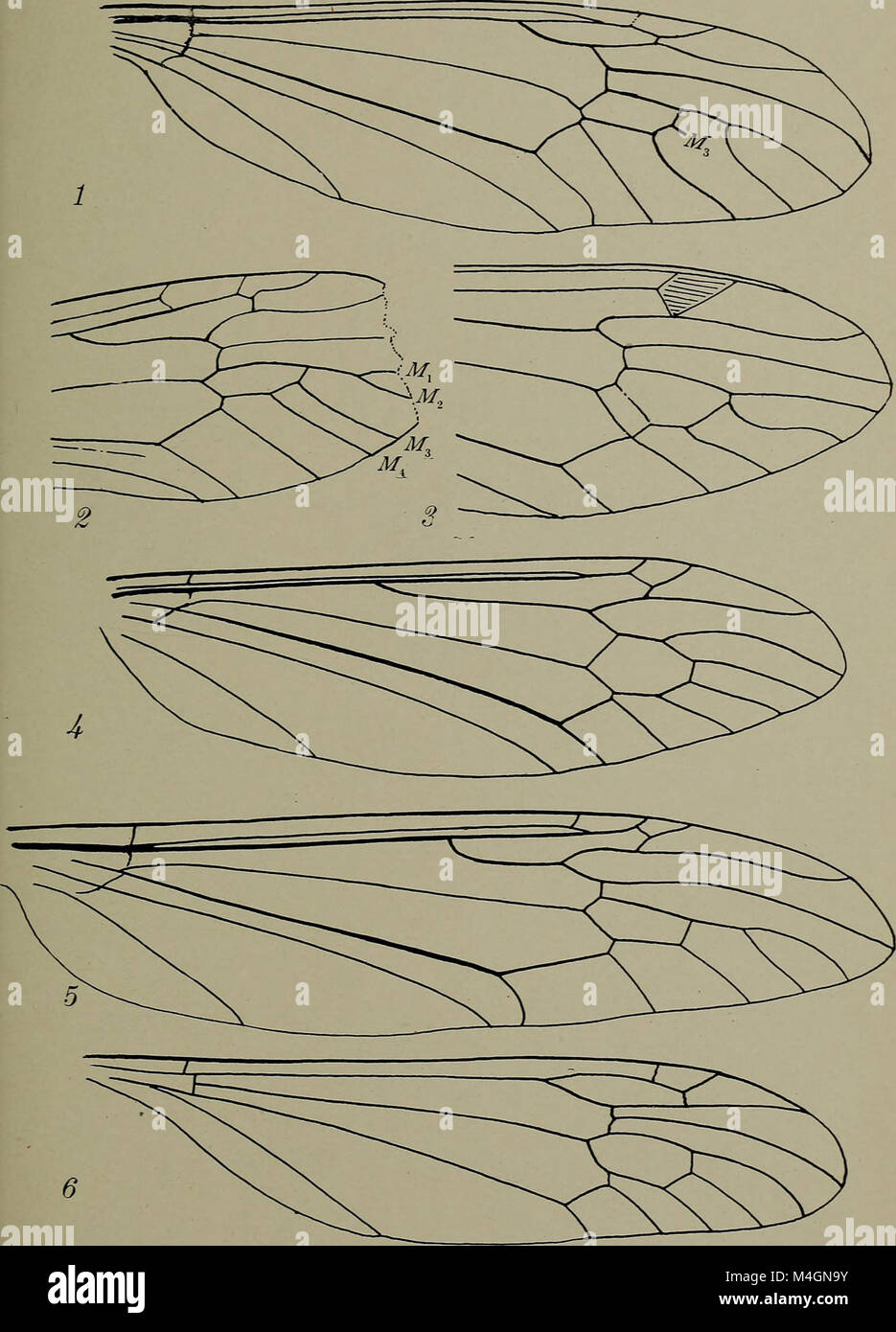 The 1907 Annual Report provides a summary of activities and progress ...