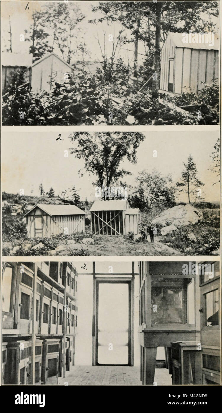 The 1908 Annual Report provides a comprehensive summary of the ...