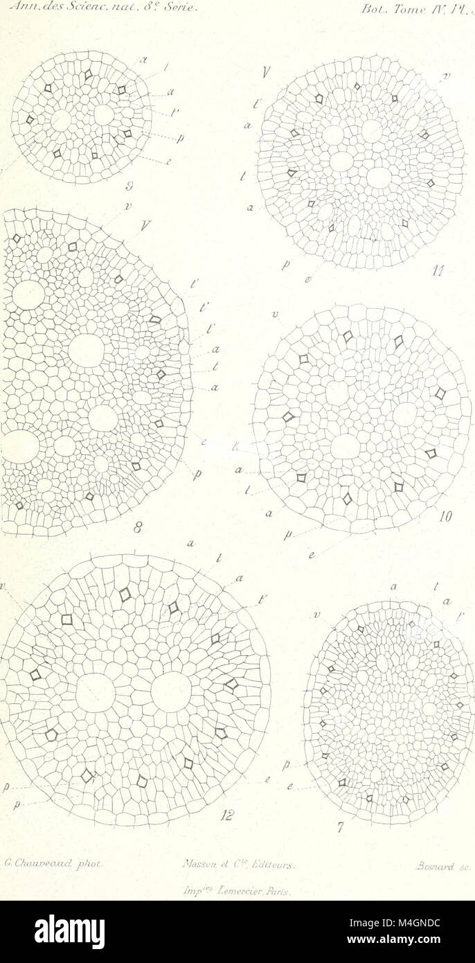 This scientific journal, published in the early 19th century, covers ...