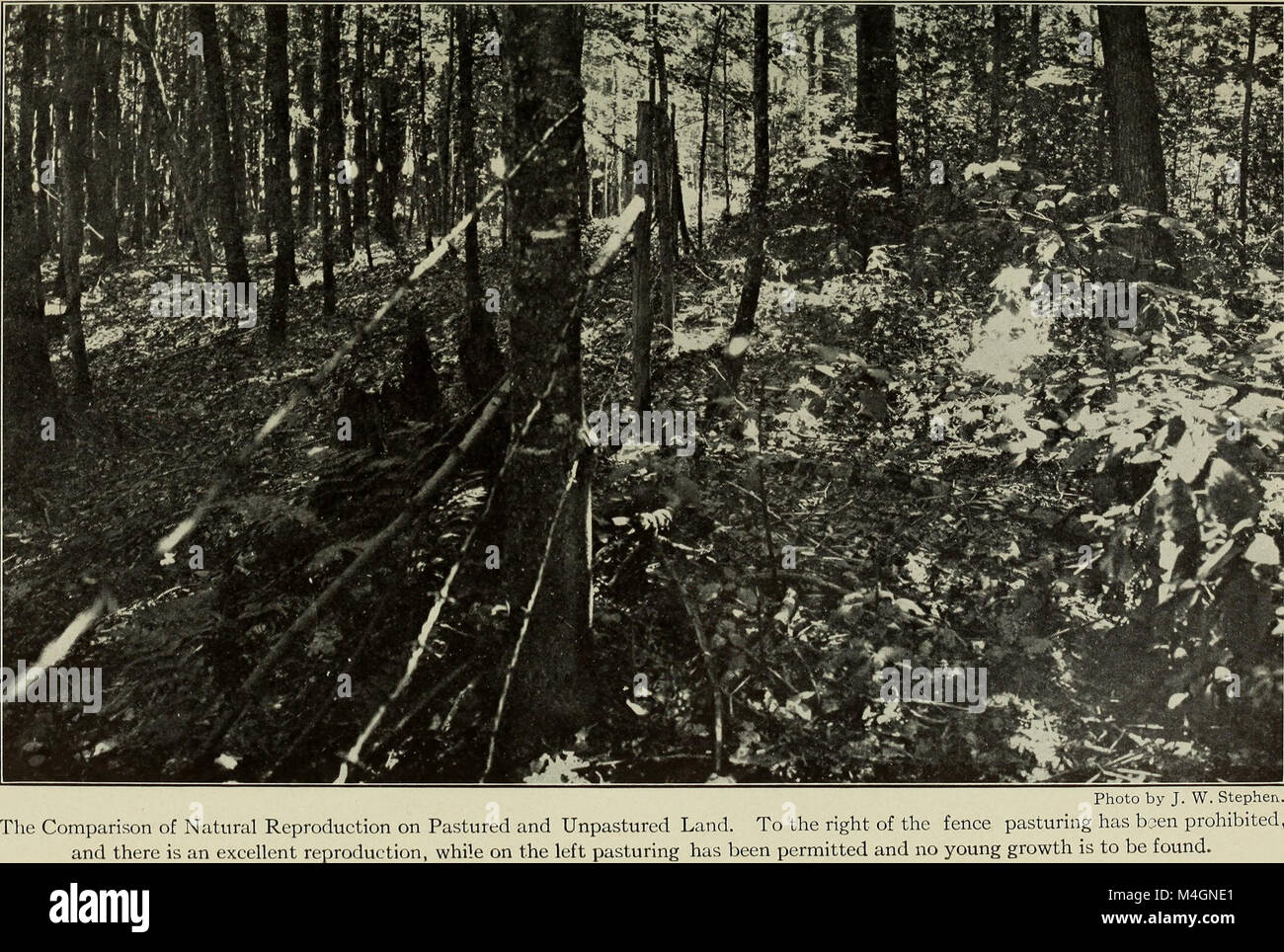 The 1909 annual report presents updates on the operations, achievements ...