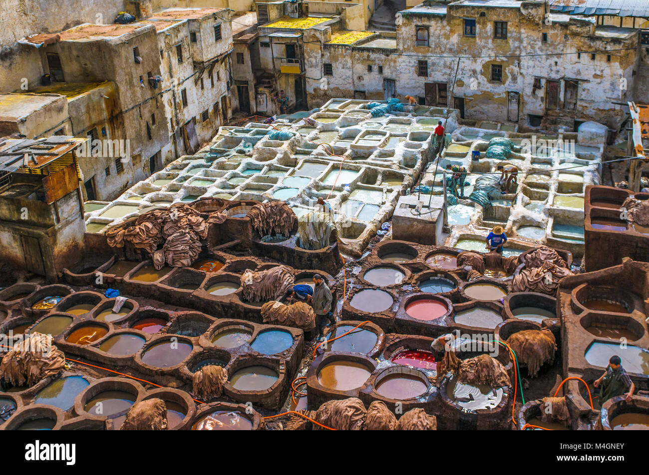 Tannery in Fez, Morocco Stock Photo - Alamy
