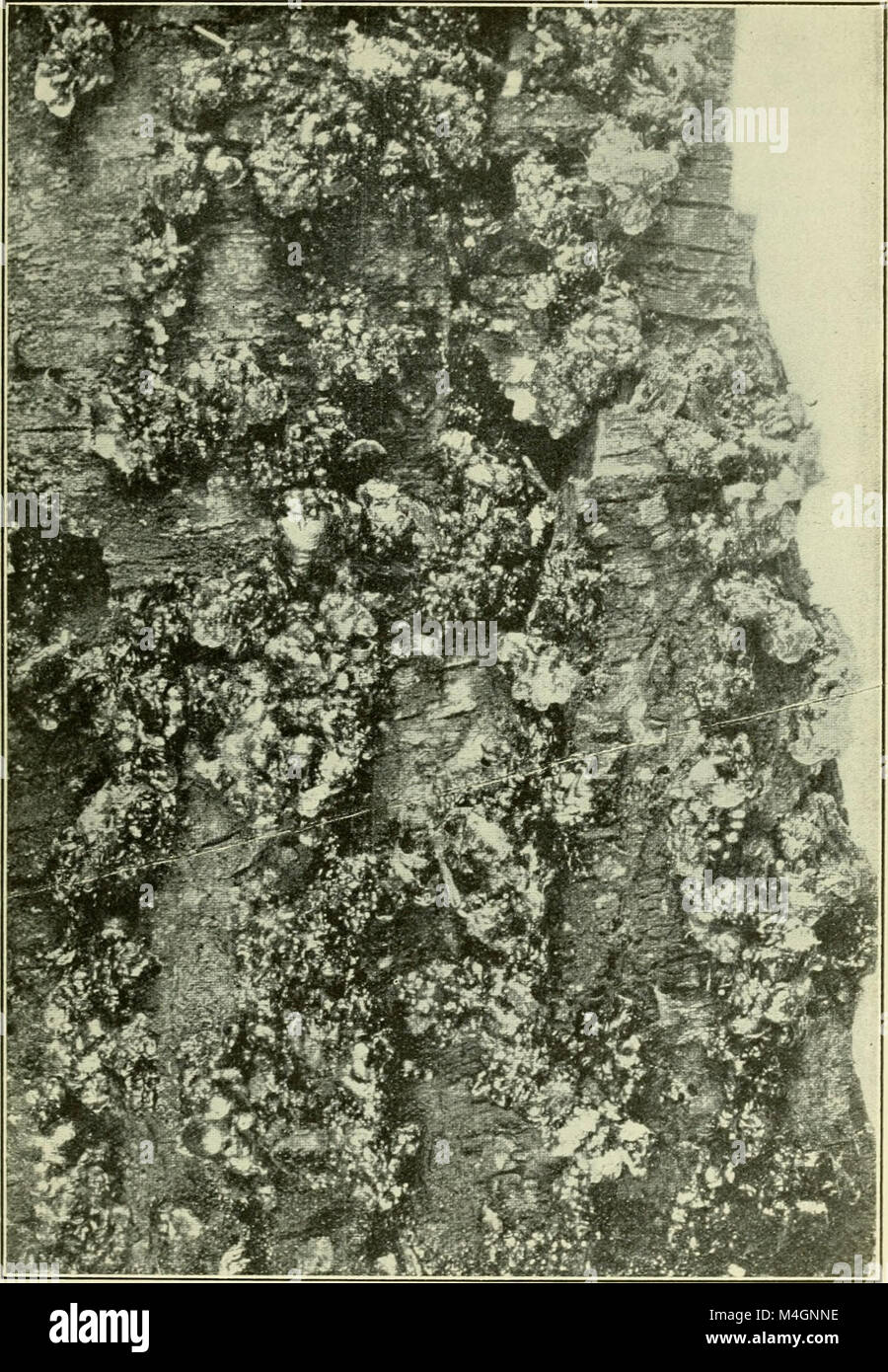 This 1909 annual report provides a comprehensive summary of key ...