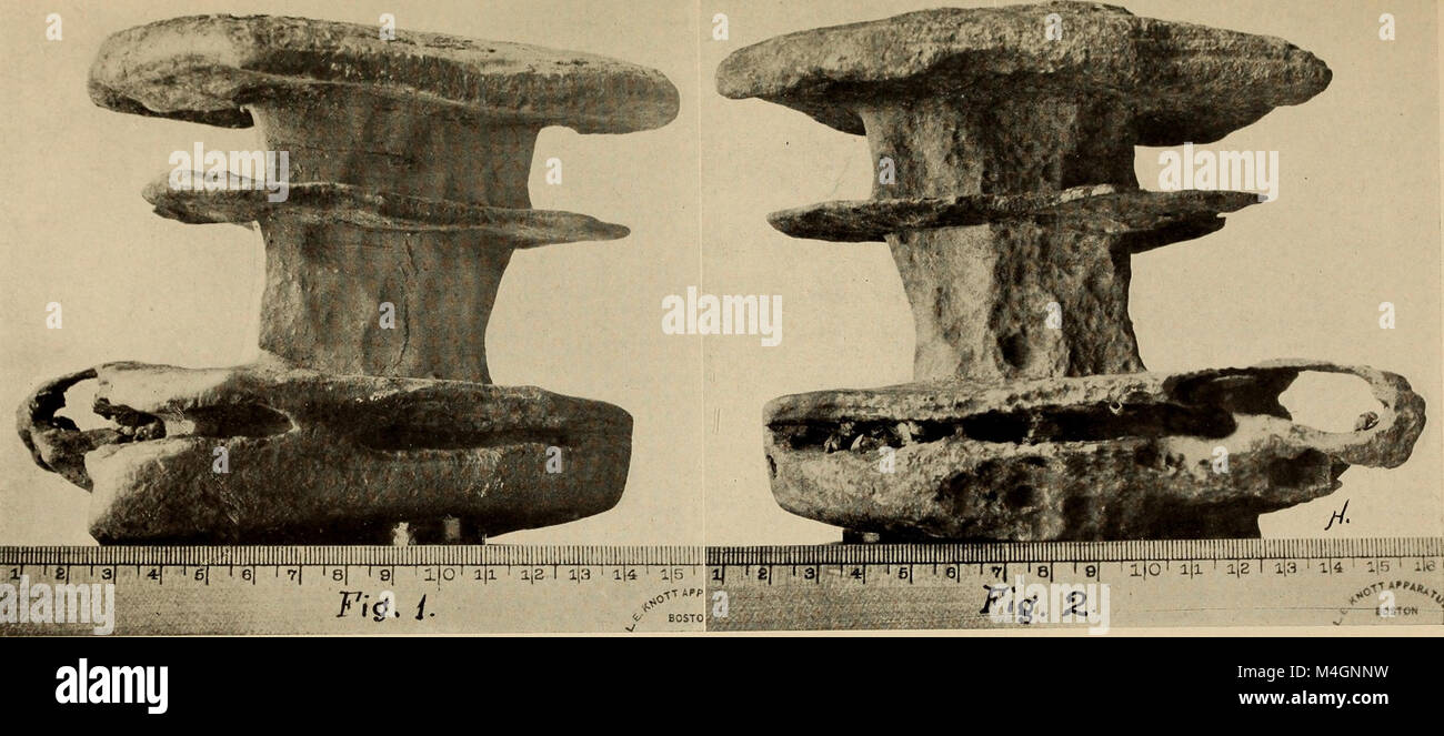 The 1909 Annual Report provides a summary of the activities, policies ...