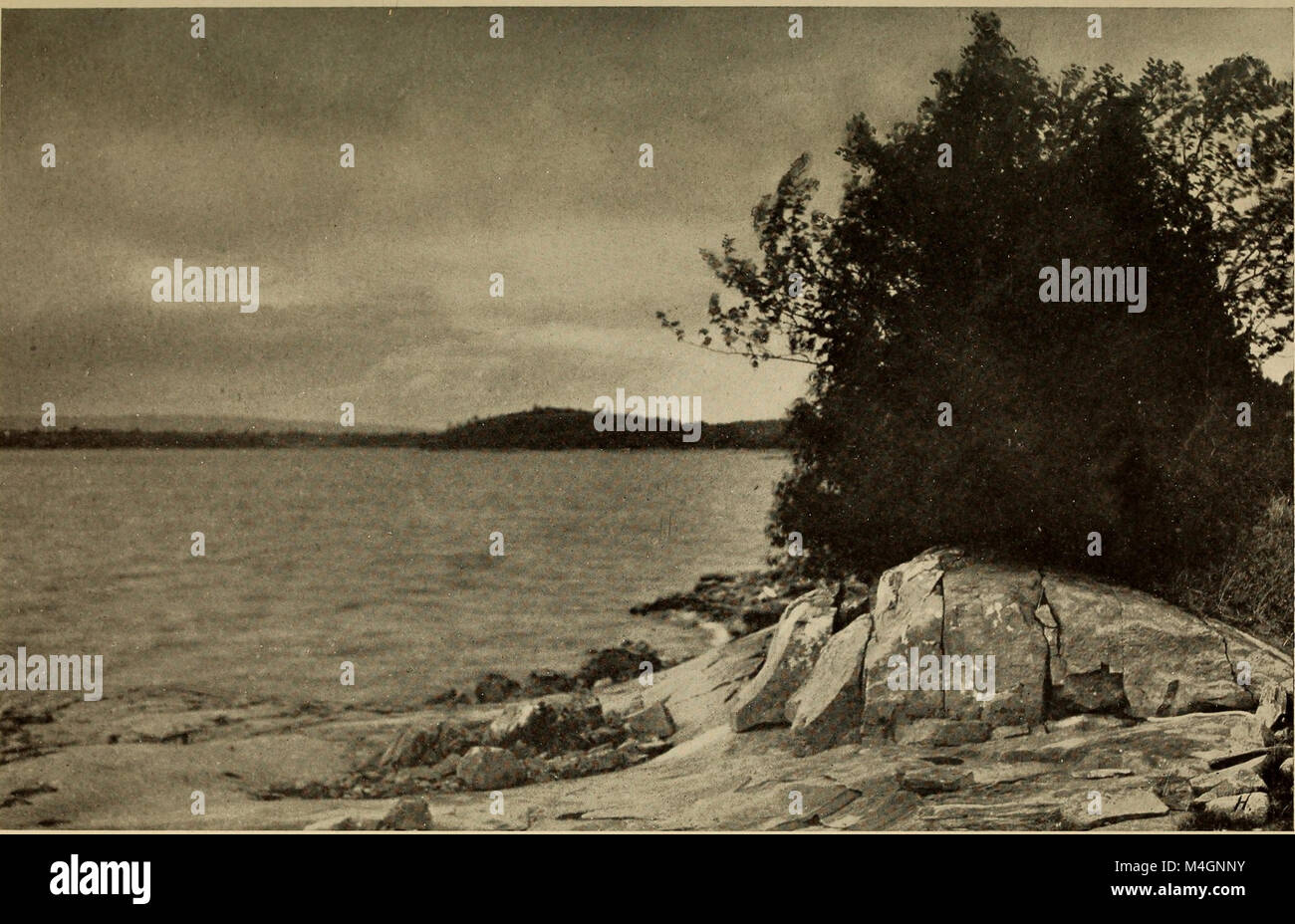 Annual targets hi-res stock photography and images - Alamy