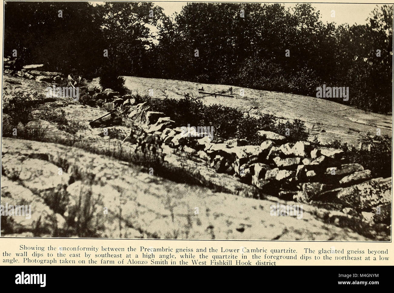 The 1910 Annual Report presents detailed findings on various ...