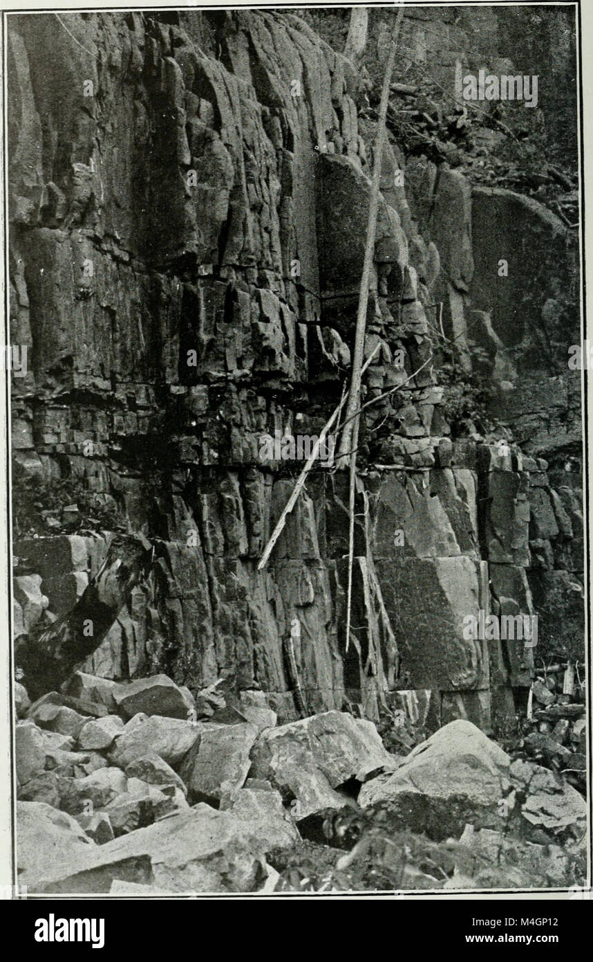 The 1910 Annual Report provides a comprehensive summary of activities ...