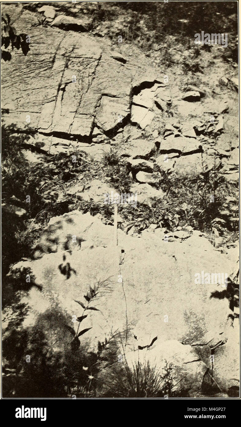 The 1910 Annual Report provides a comprehensive summary of activities ...