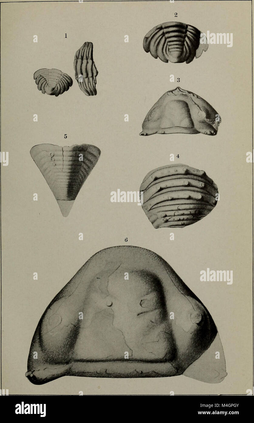The 1912 annual report outlines the operations, finances, and ...