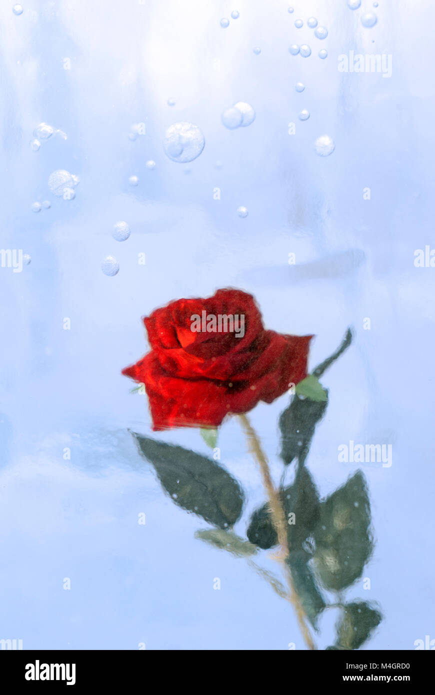 Ice age block hi-res stock photography and images - Alamy