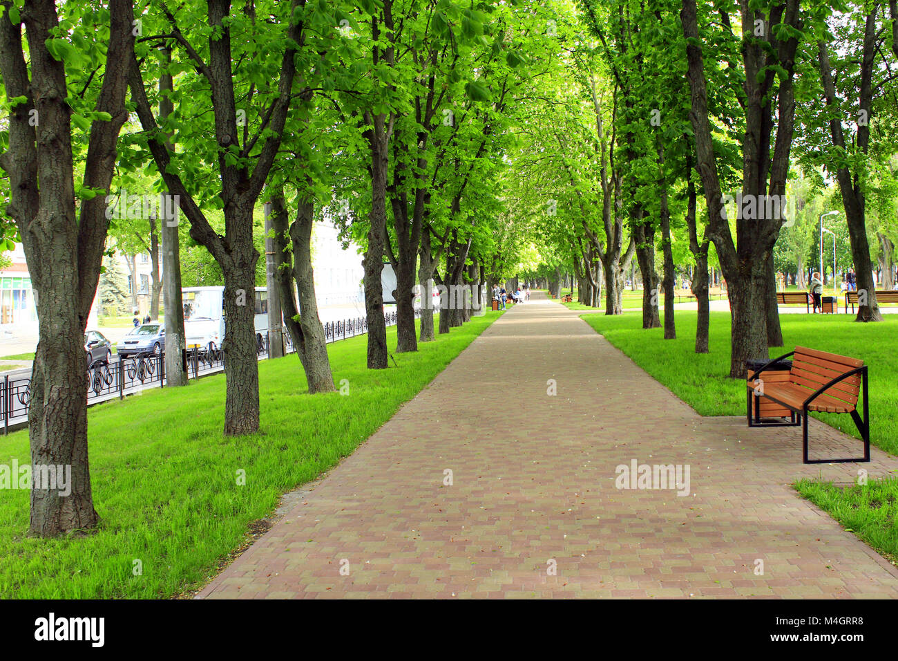 beautiful park with nice promenade path and big green trees Stock Photo ...