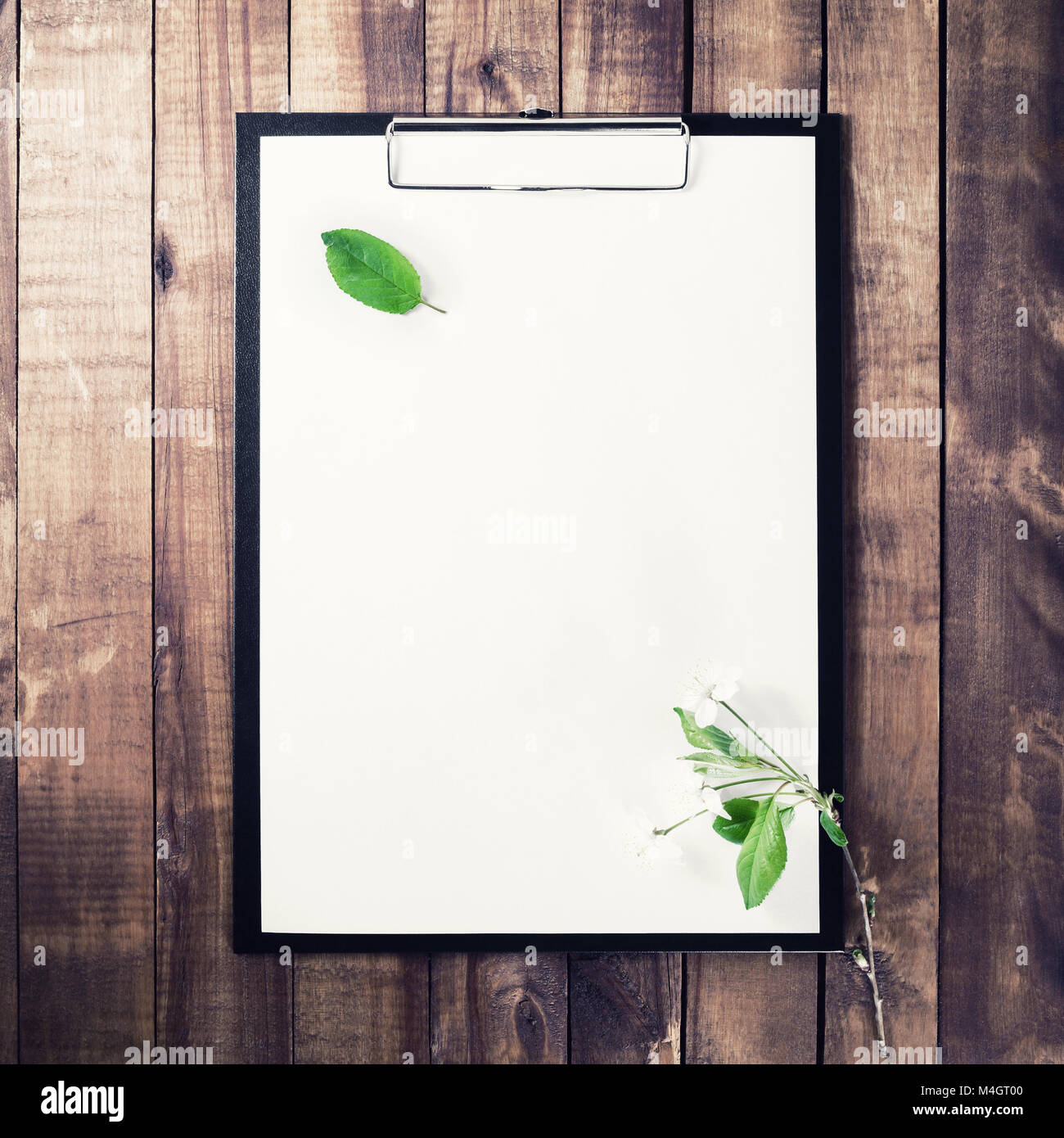Letterhead paper blank hi-res stock photography and images - Alamy