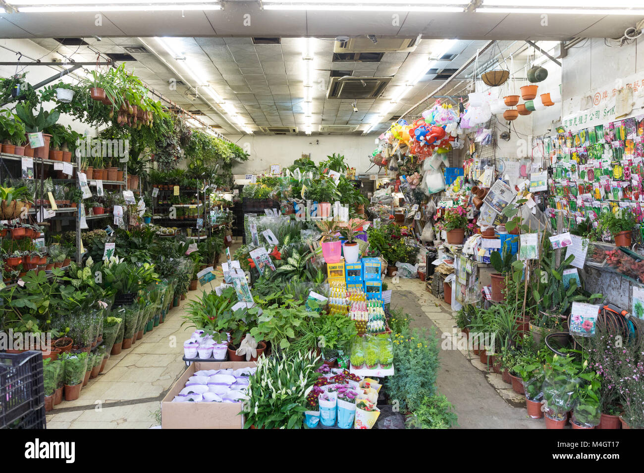 Florist shop interior hi-res stock photography and images - Alamy