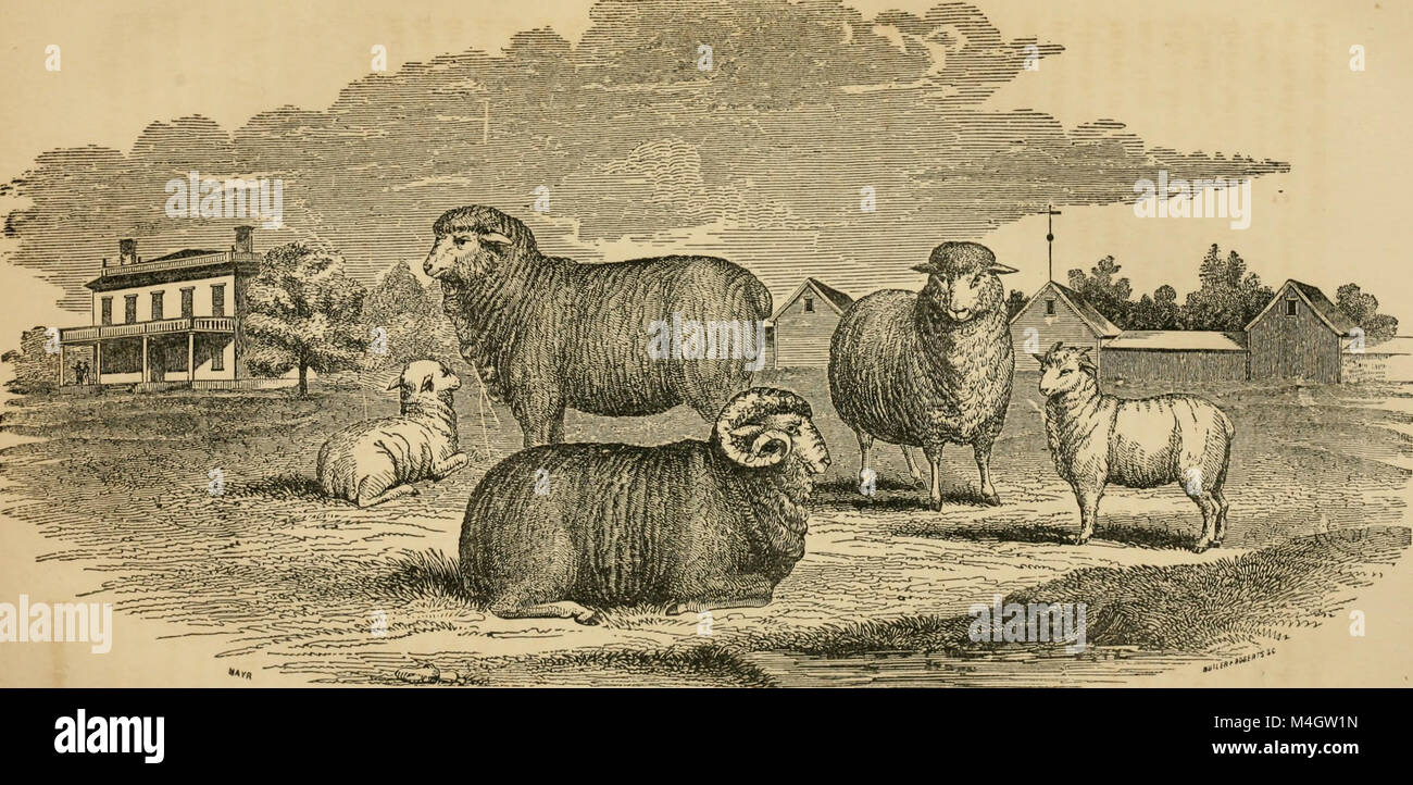 This 1847 annual report from the American Institute focuses on ...