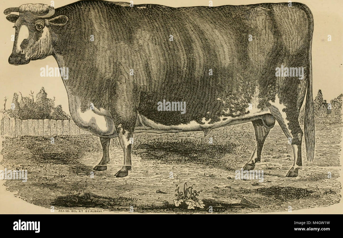 The 'Annual Report of the American Institute on Agriculture' (1847 ...