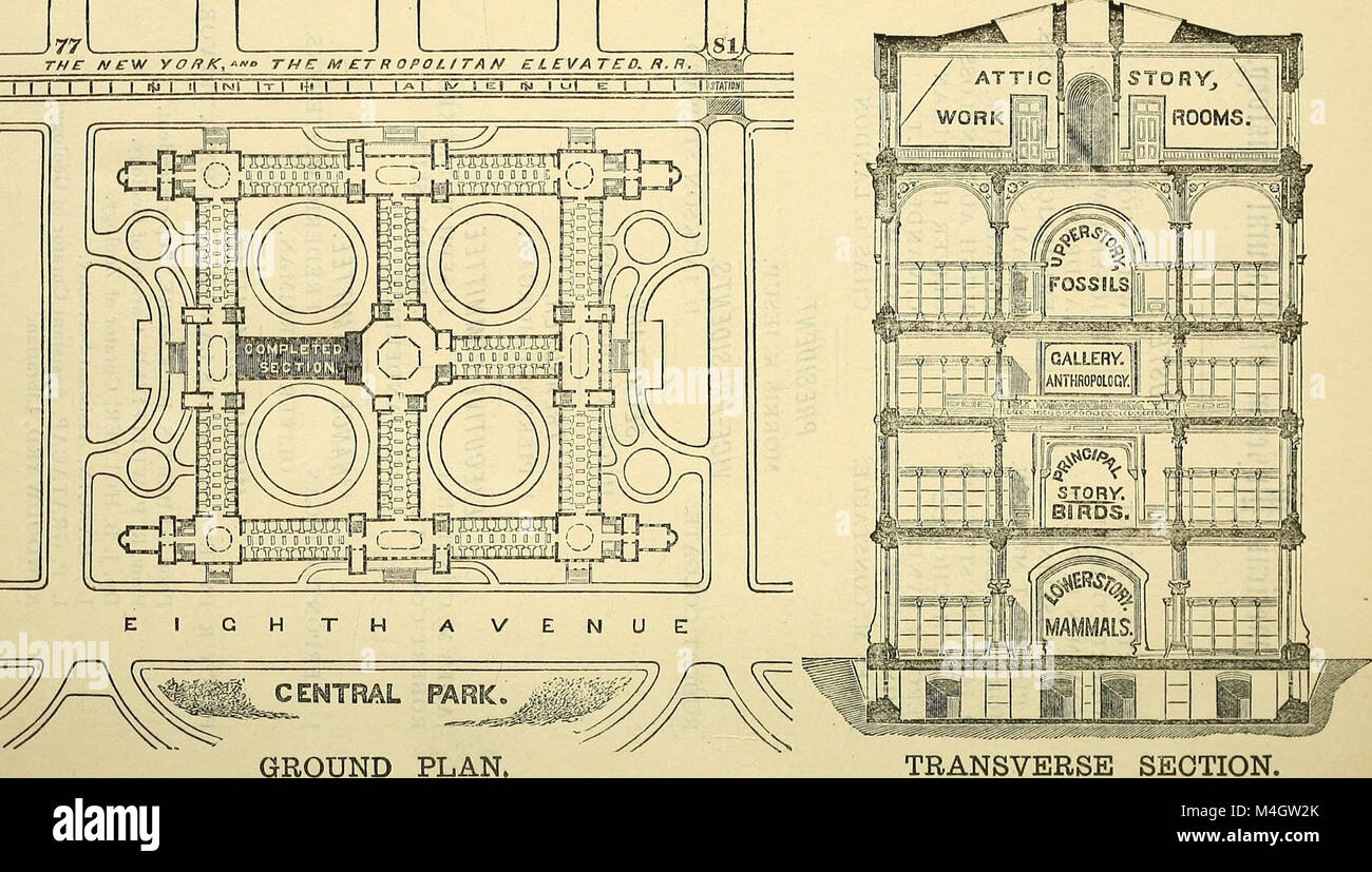 Annual report of the American Museum of Natural History for the year ...