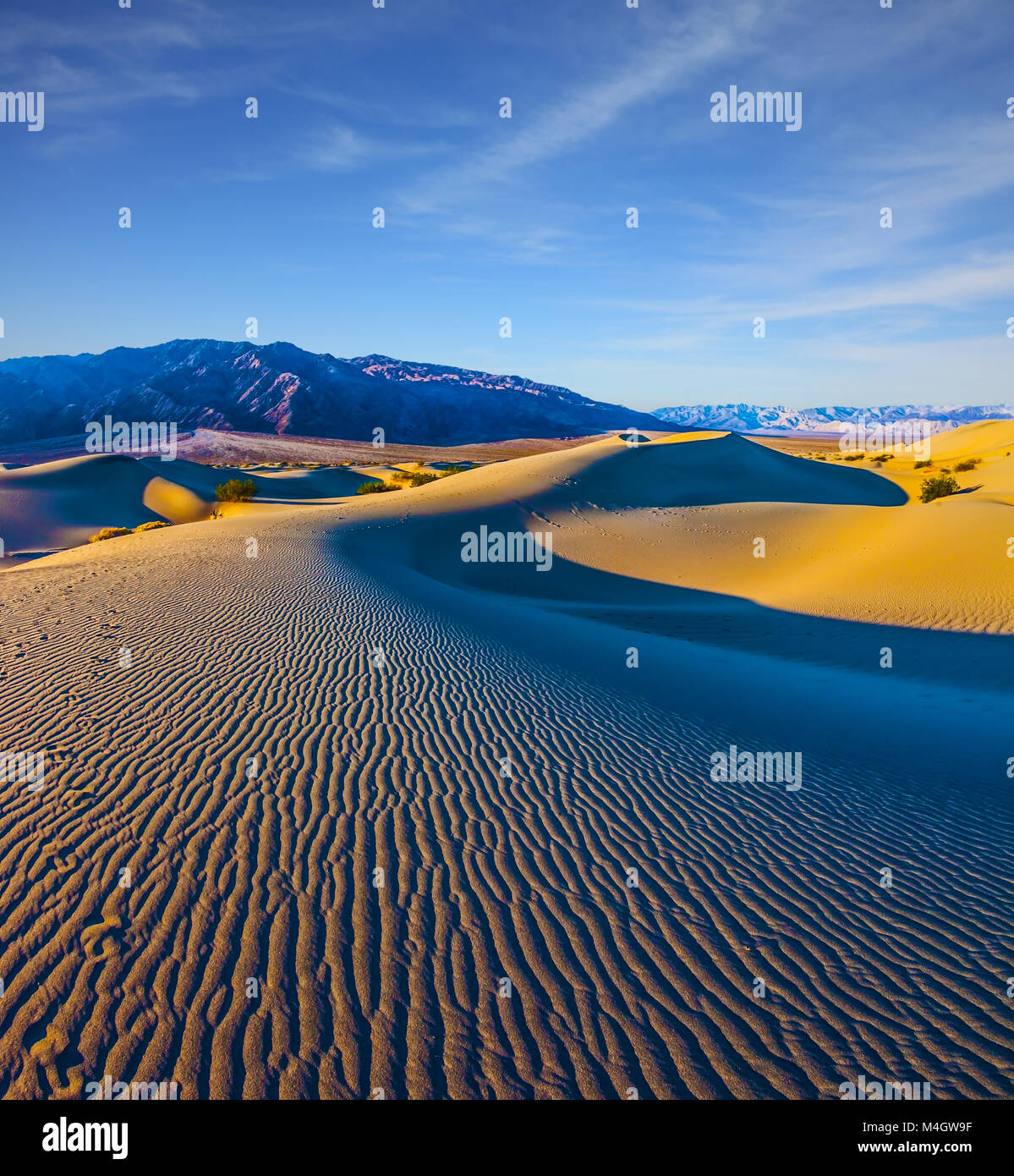 Heat of early sun hi-res stock photography and images - Alamy