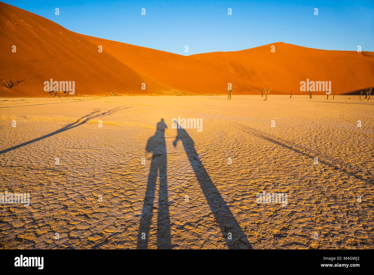 Long shadows from people with cameras Stock Photo - Alamy