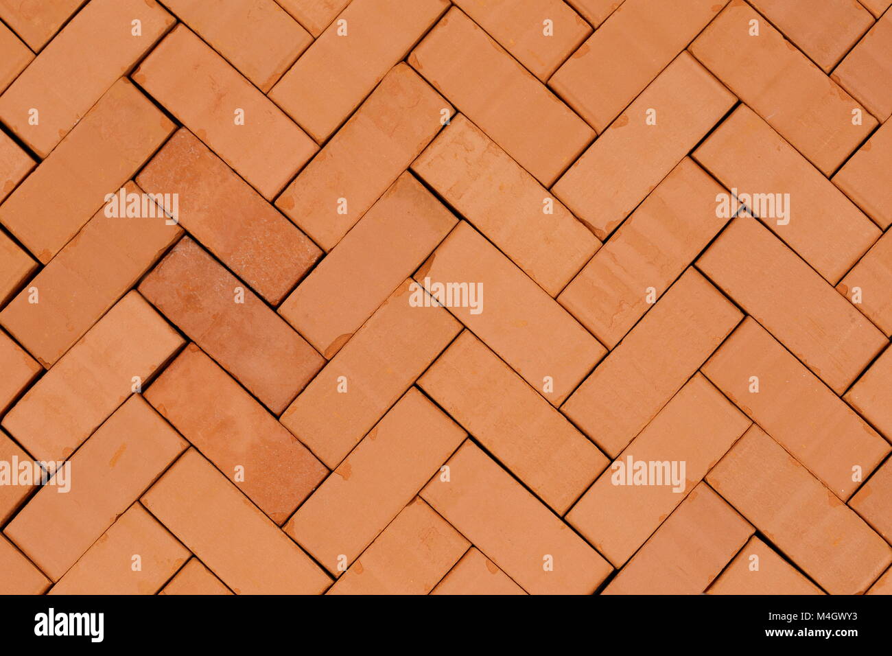 Fish bone structure hi-res stock photography and images - Alamy