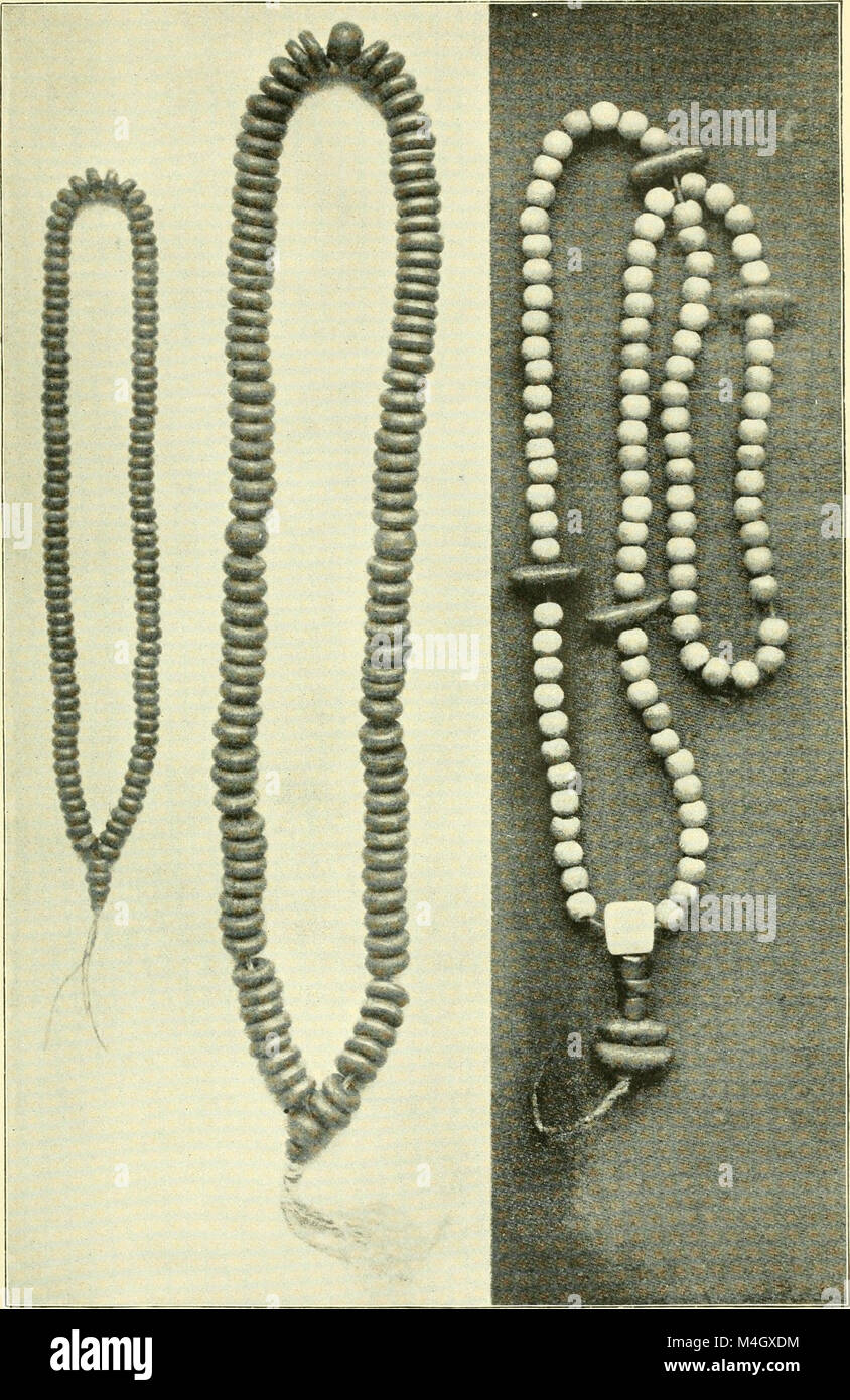 The 1893 *Annual Report of the Board of Regents of the Smithsonian ...