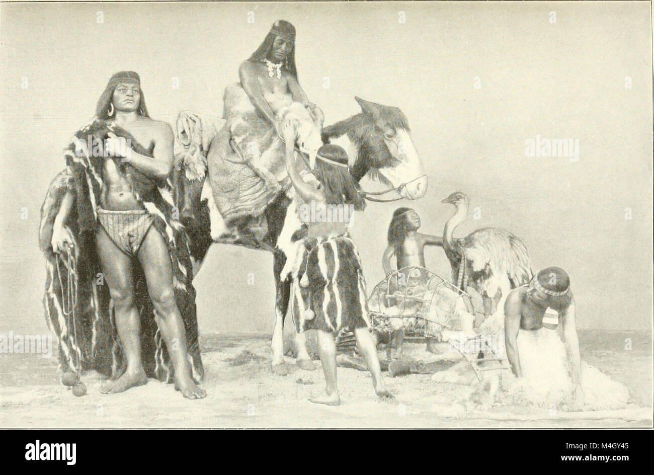 The 1901 annual report from the Board of Regents of the Smithsonian ...