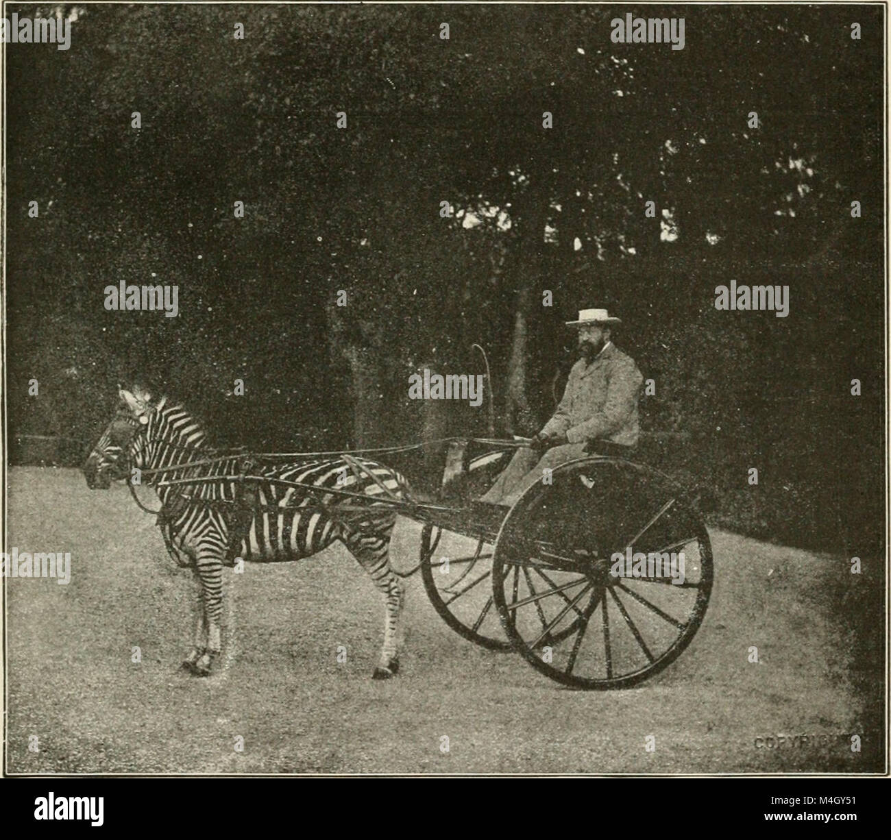 The 1901 annual report of the Board of Regents of the Smithsonian ...
