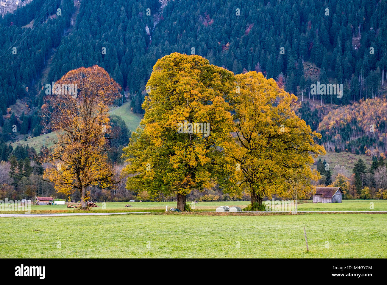 Idyllic autumn landscape in the Bavarian Alps, Germany Stock Photo - Alamy