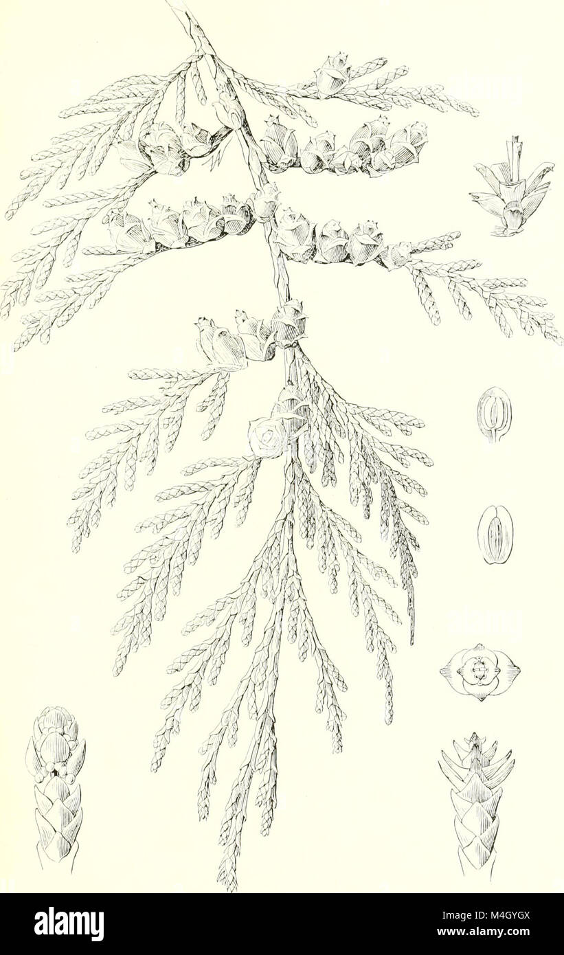 This 1902 report from the Board of Regents of the Smithsonian ...