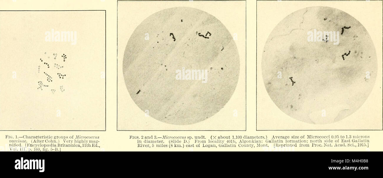 The 1915 report from the Board of Regents of the Smithsonian ...