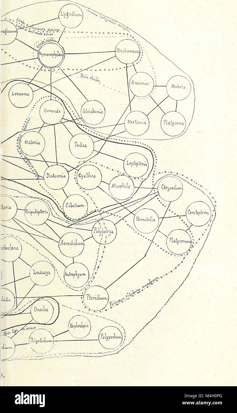 'Annales des Sciences Naturelles Botaniques' (1840) is a botanical ...