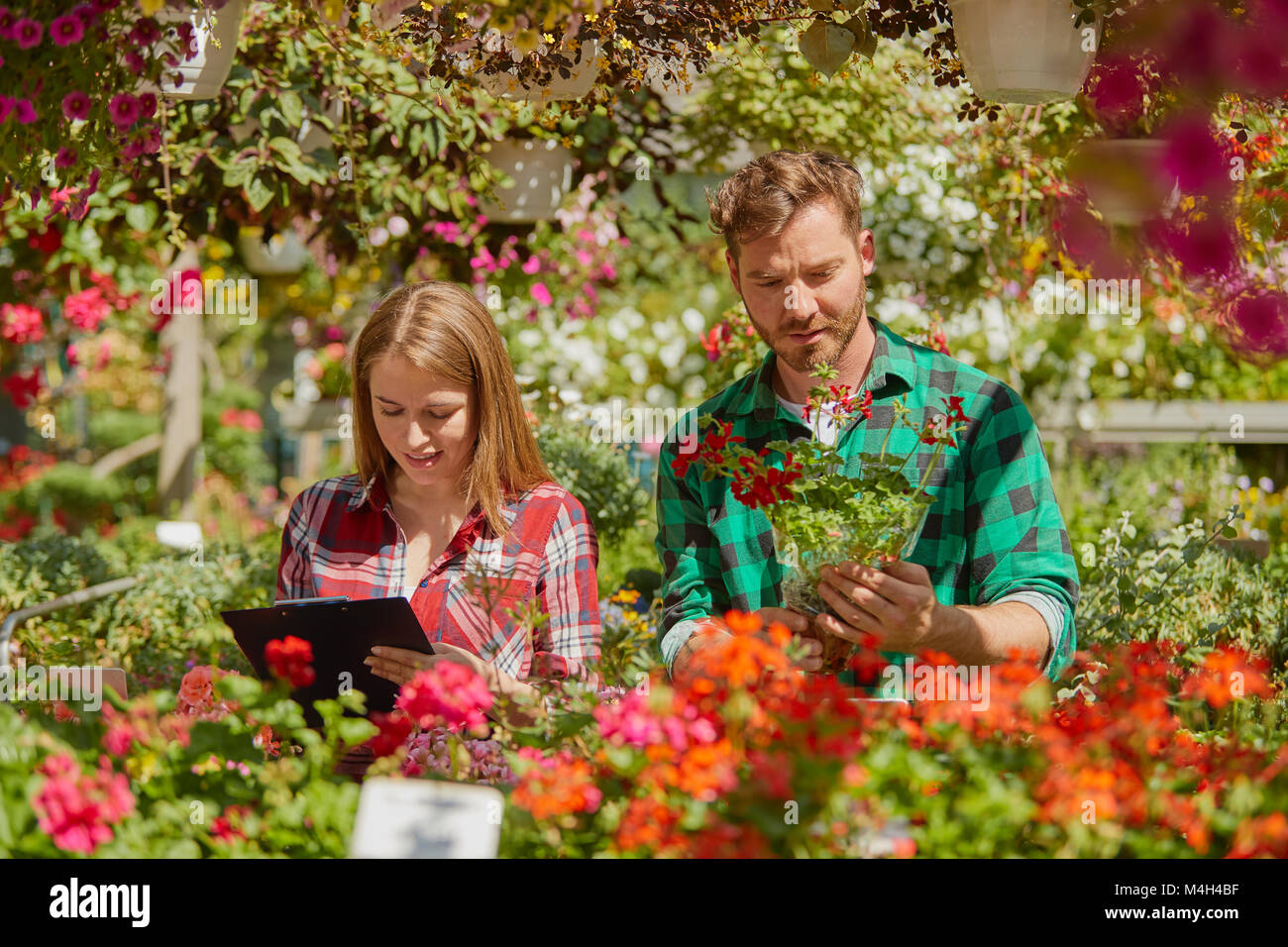 Professional gardener doing job hi-res stock photography and images - Alamy