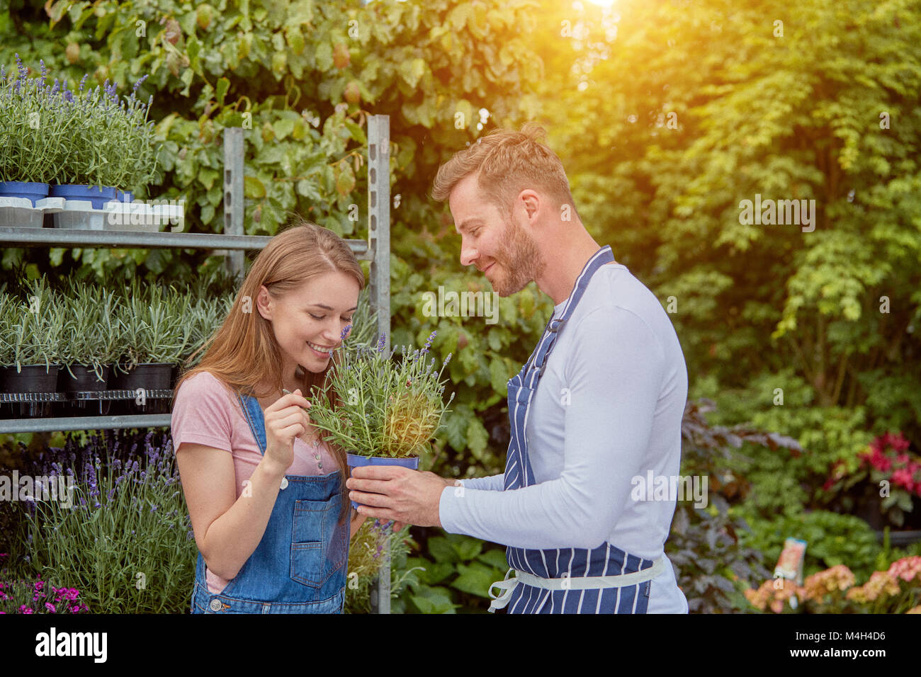 Woman sniffing potted flower Stock Photo - Alamy