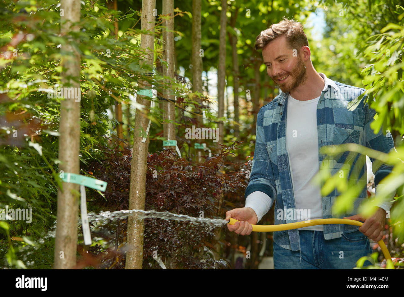 Man watering plants in garden Stock Photo - Alamy