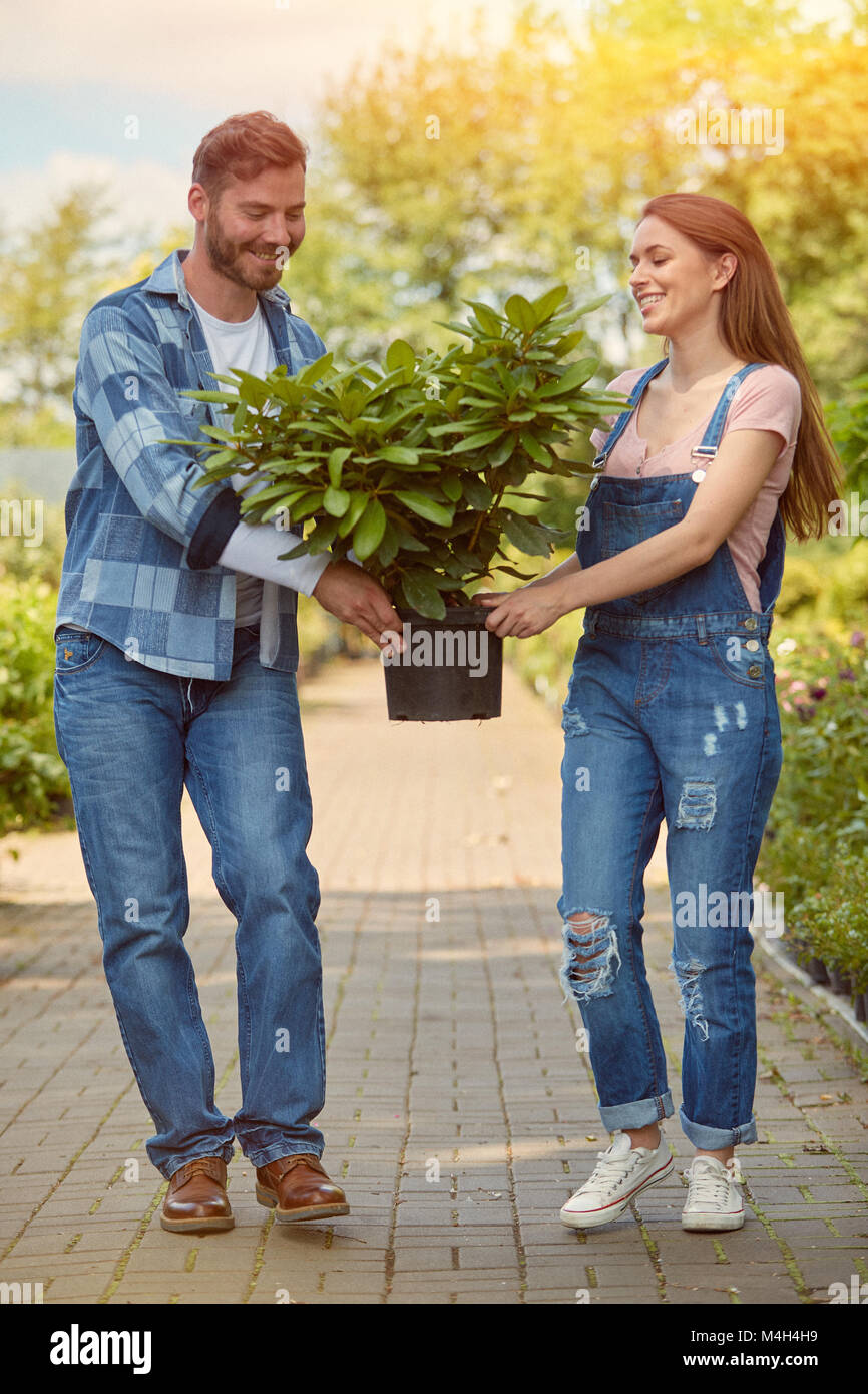 Woman gardeners potted plant hi-res stock photography and images - Alamy