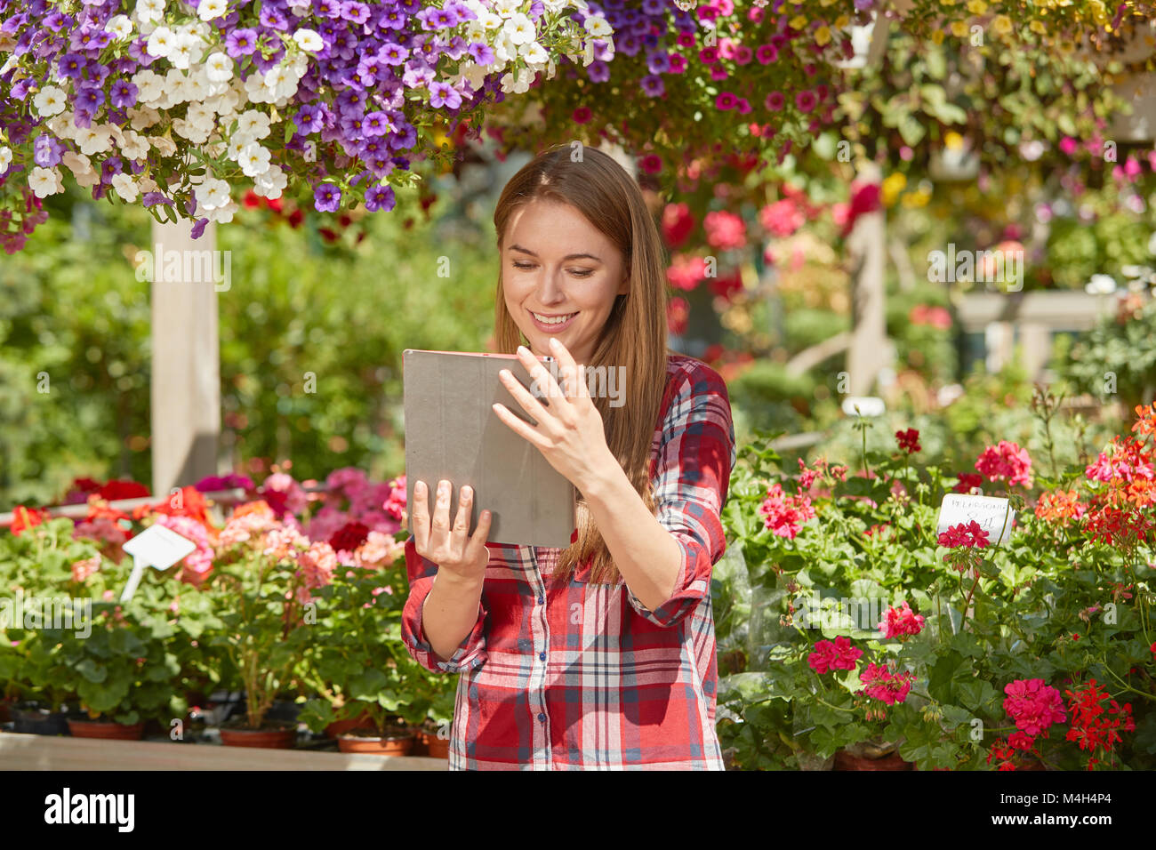 Female gardener using tablet hi-res stock photography and images - Alamy