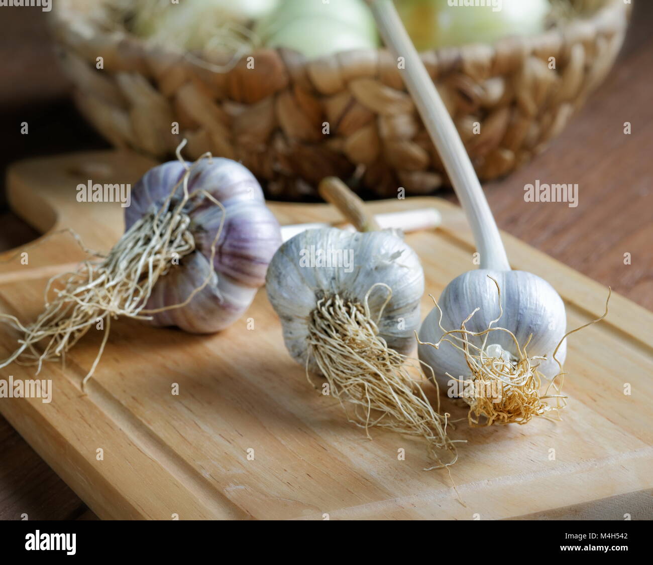 head of garlic on the table rustic Stock Photo - Alamy