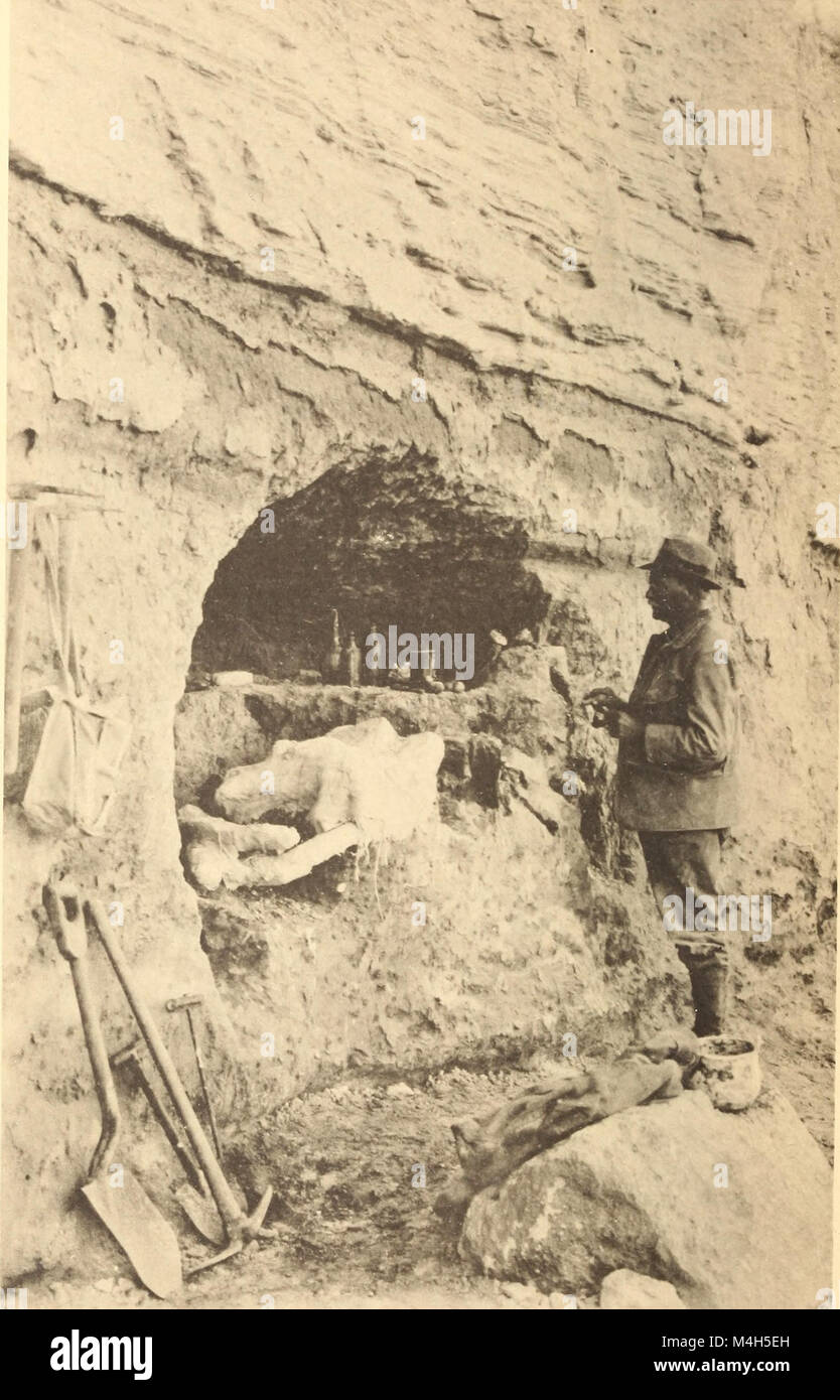 The 1926 Annual Report from the Director to the Board of Trustees ...