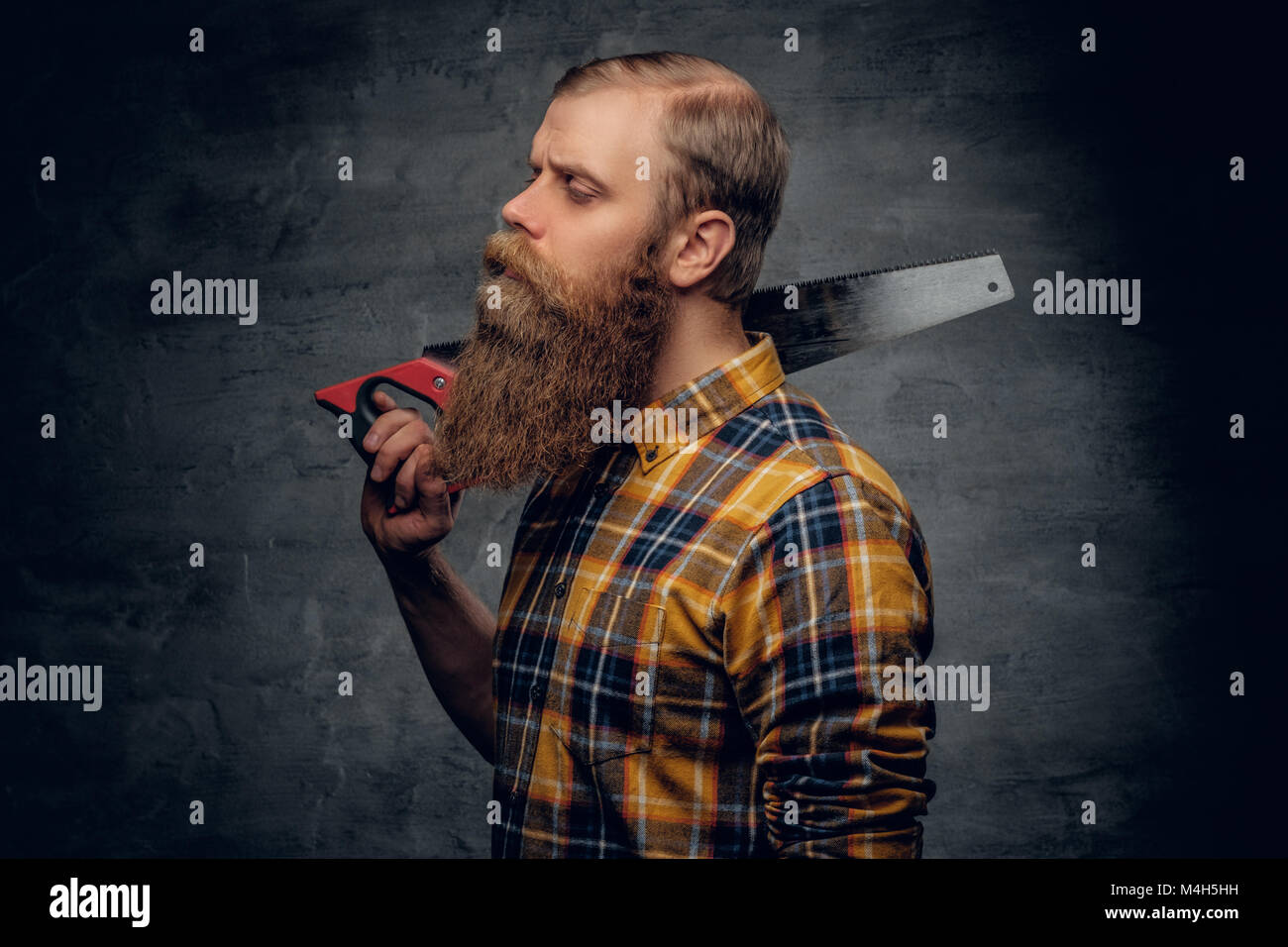 Studio portrait of bearded carpenter dressed in a plaid shirt holds ...