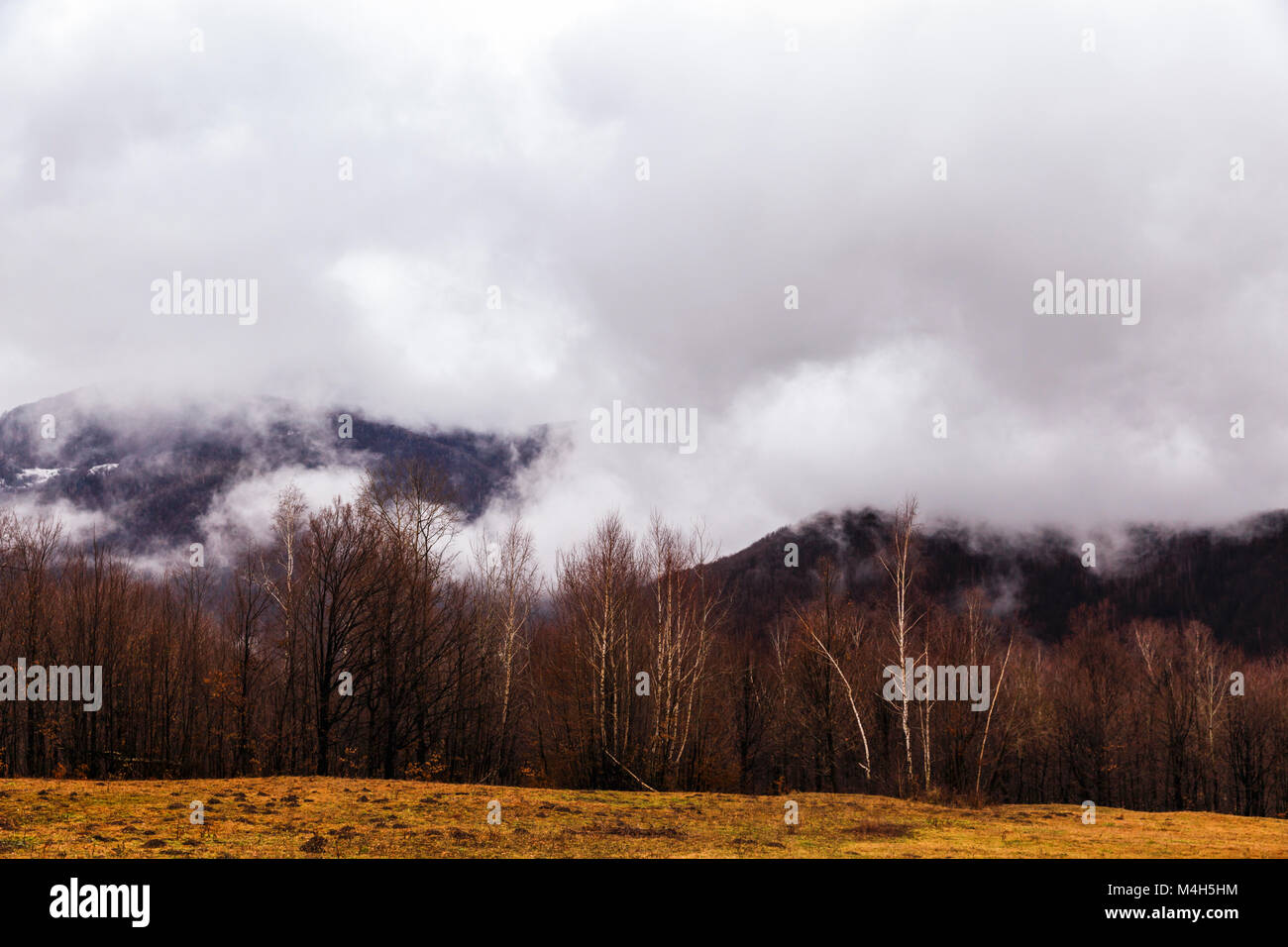 beautiful mountain landscape in Romania Stock Photo - Alamy
