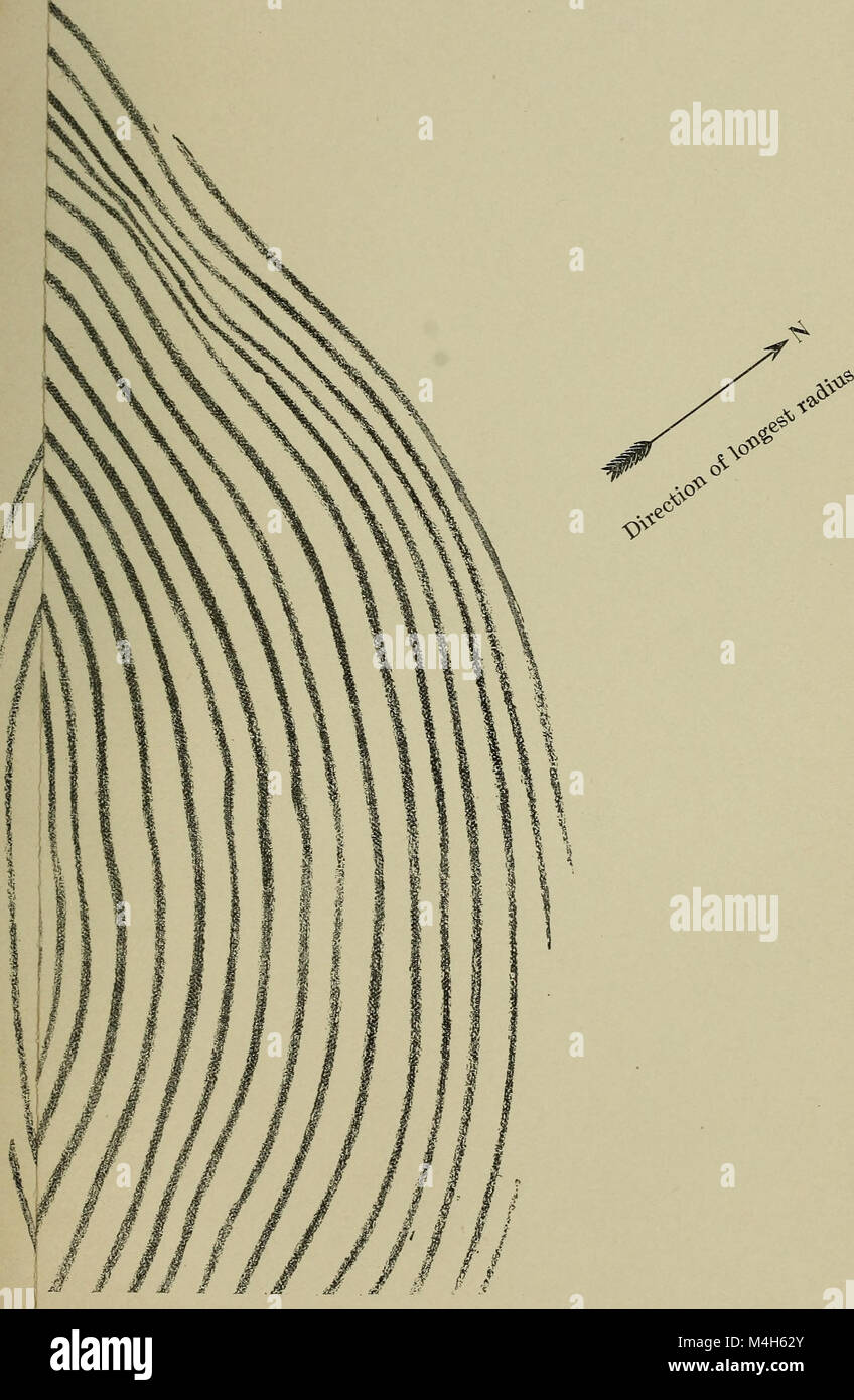 The 1894 annual report from the Forest Commission of New York provides ...