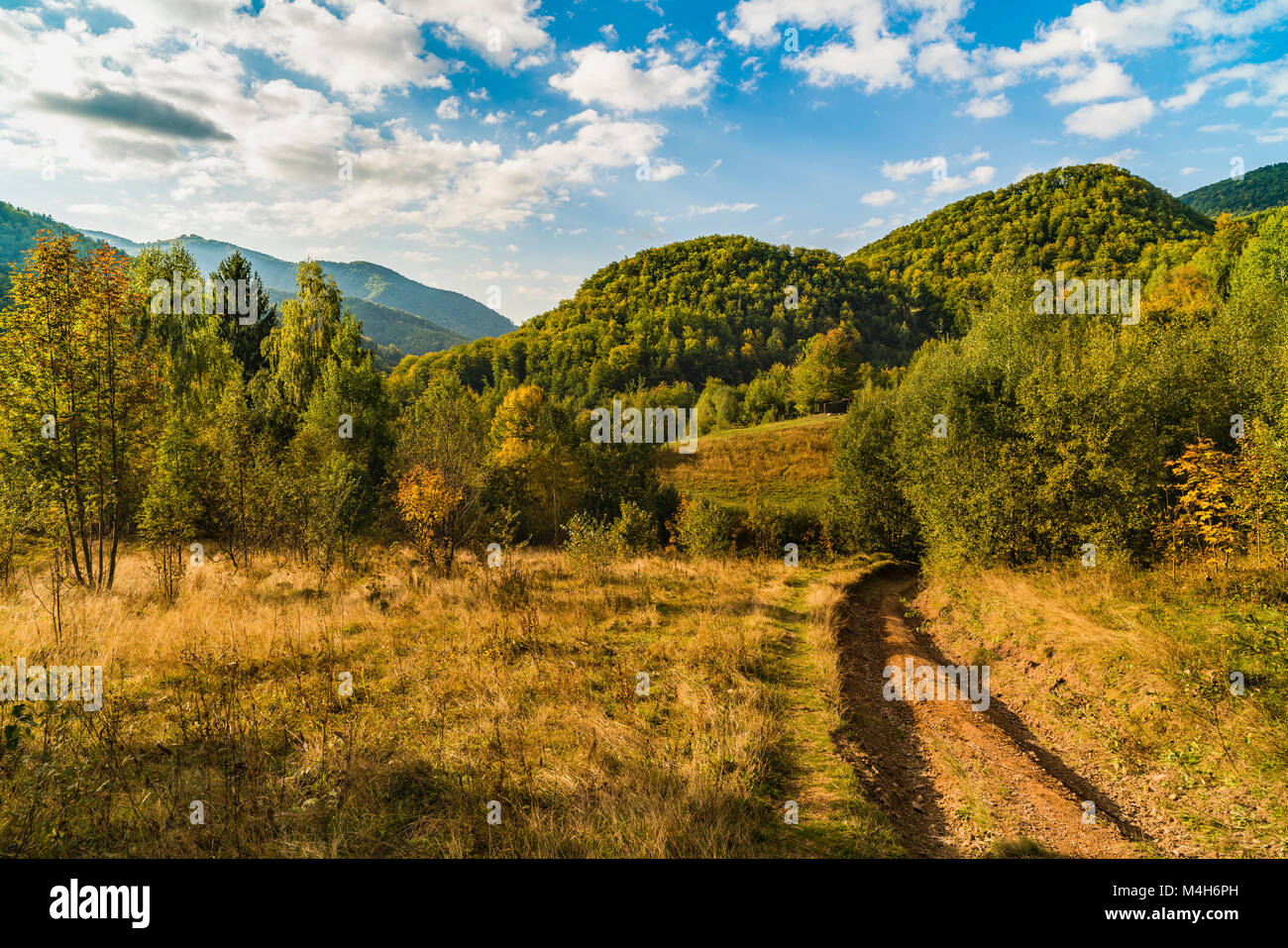 landscape with hills forested autumn Stock Photo - Alamy