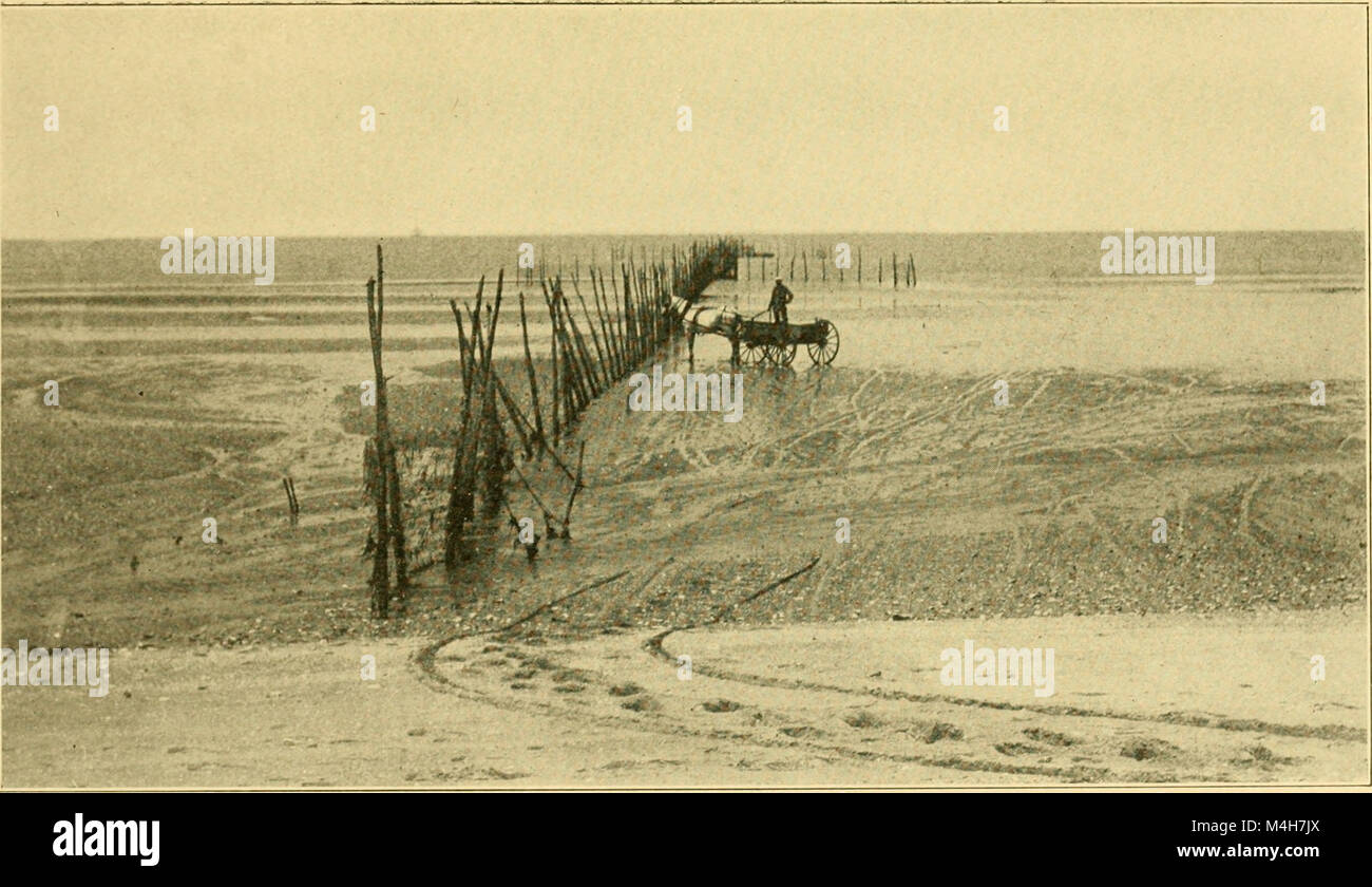 The 1907 annual report of the New Jersey State Museum highlights the ...